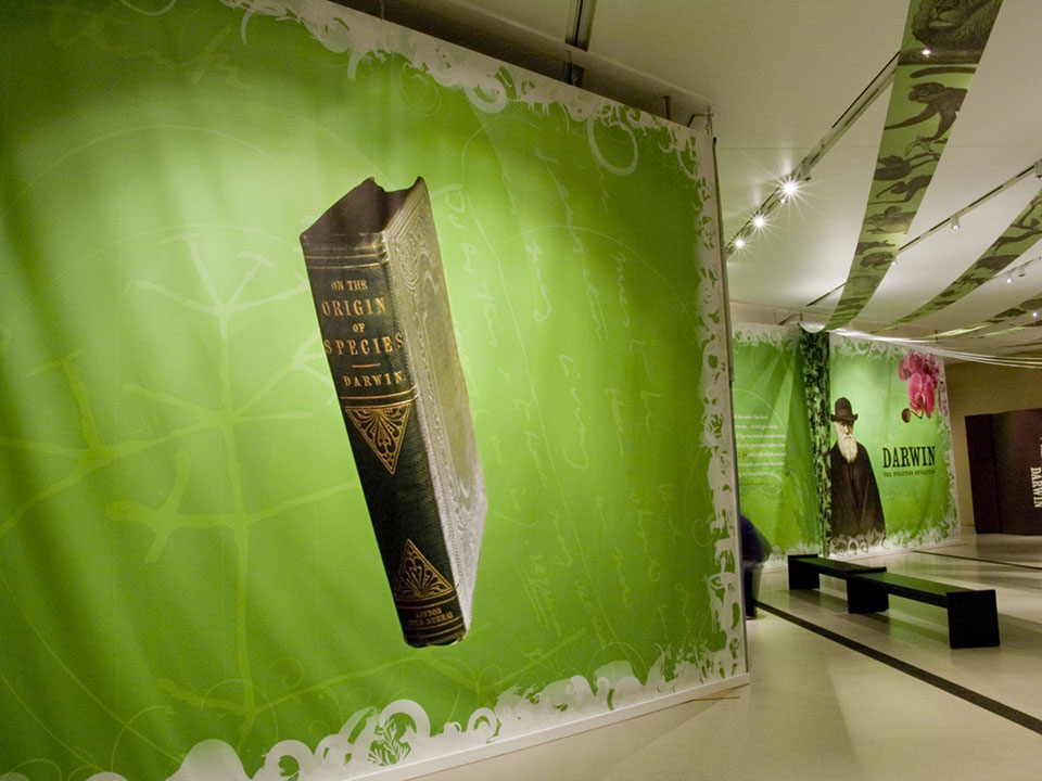 Large Format Signage and Murals Gallery